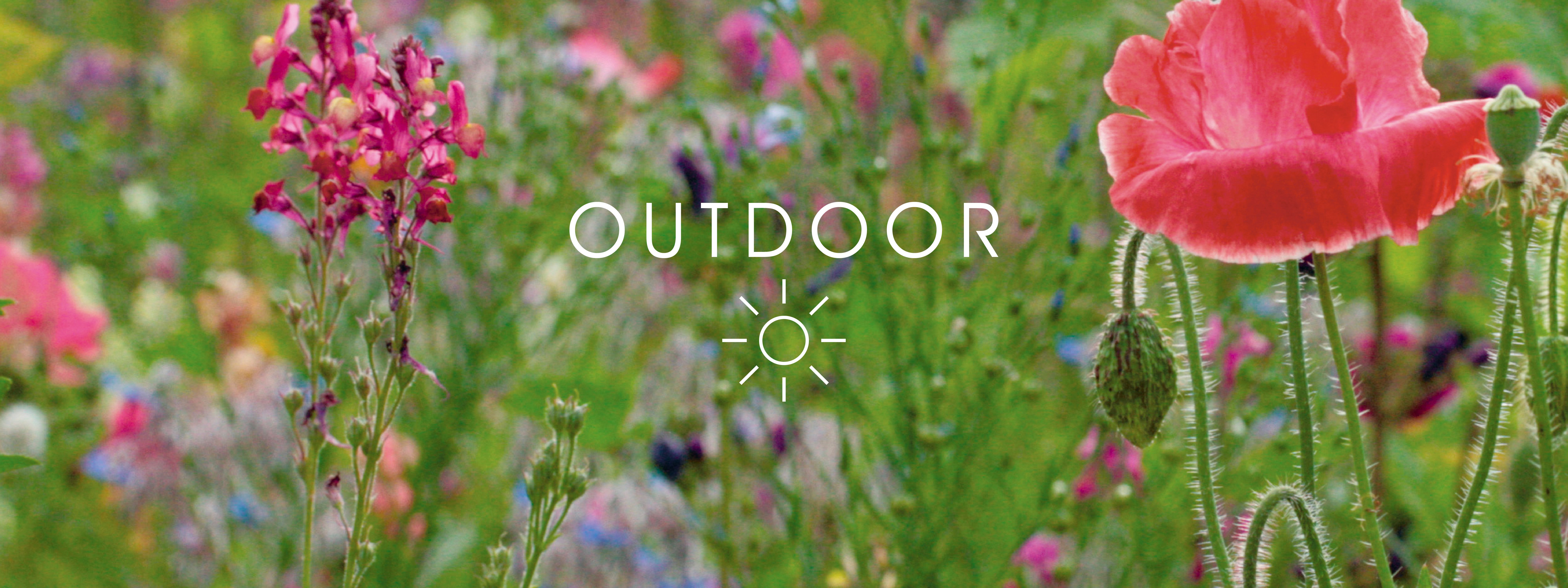 Bullfrog Design - Covers